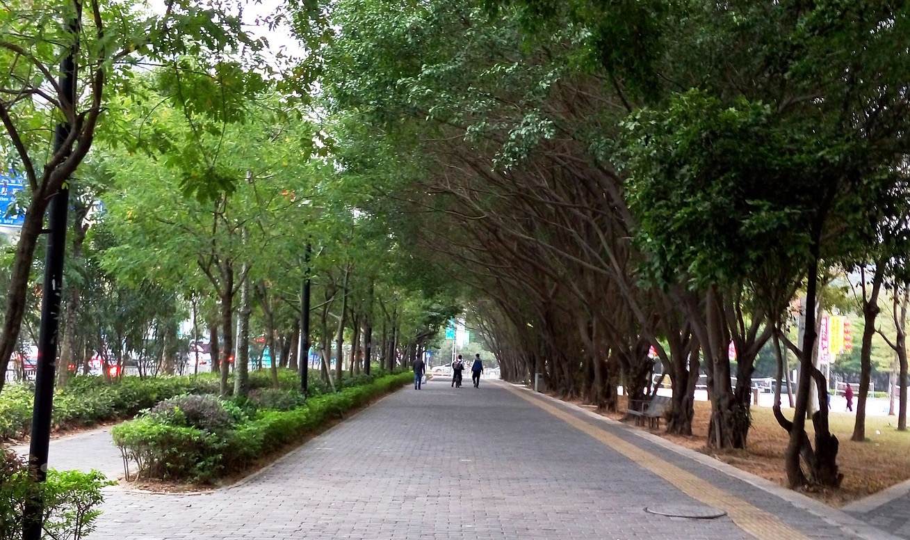 Shenzhen Wins "Smart City of 2024" Award for Ambitious Initiative - Cities of the Future